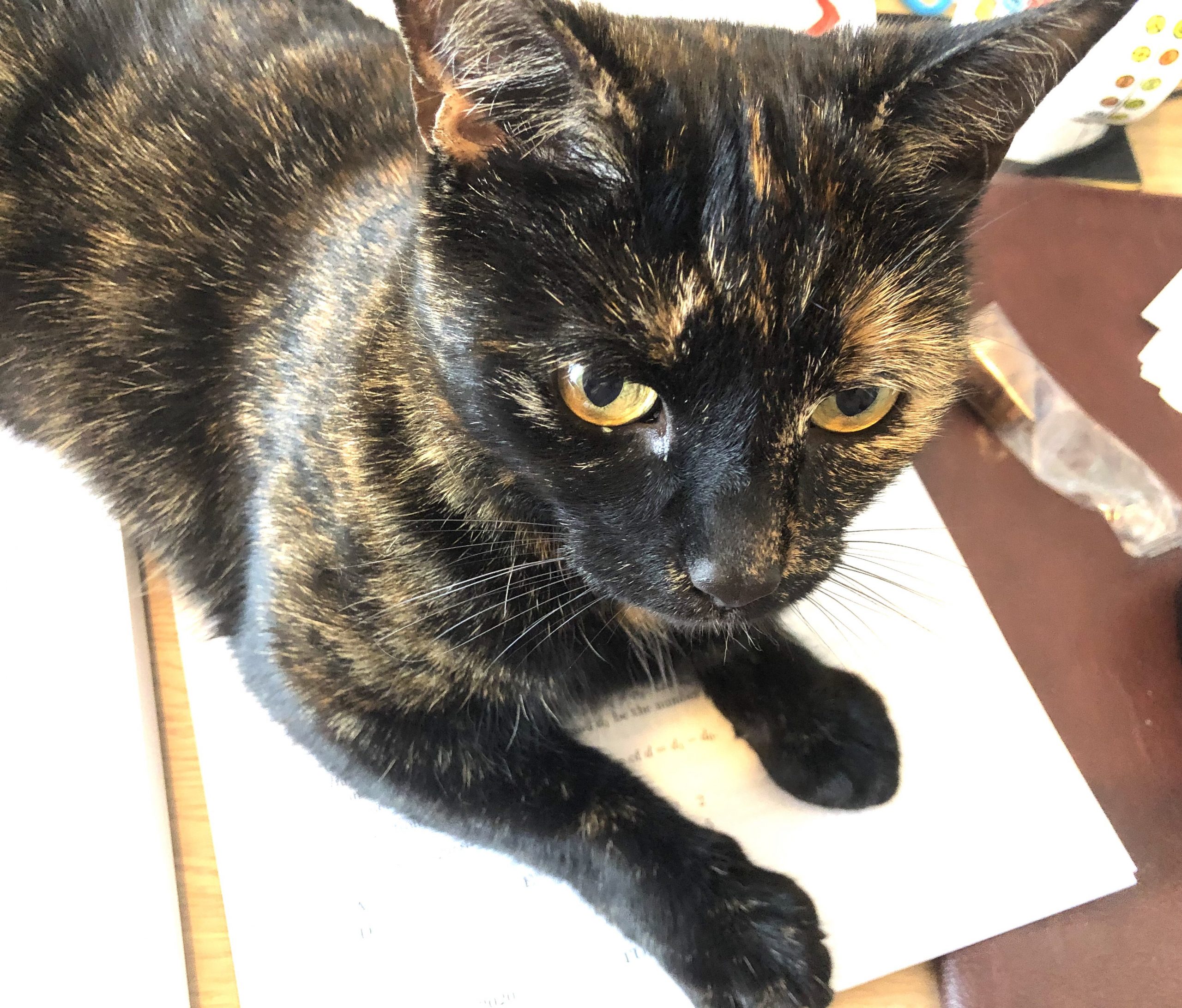 My first remote exam experience – janjanjan